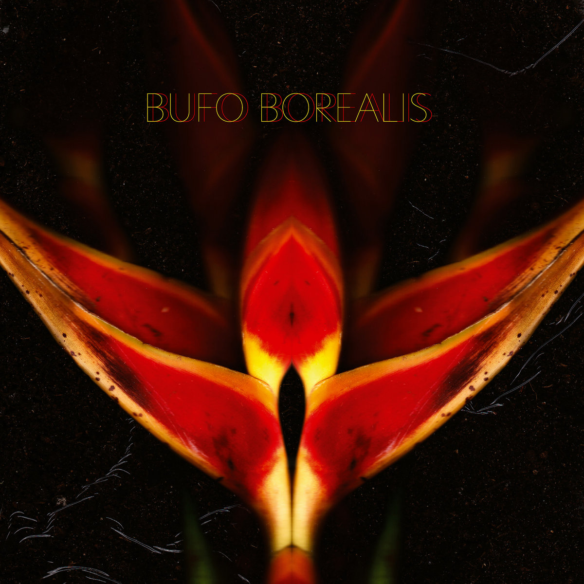 Diptera (Digipack) – Classic Metal – Especializada em Metal anos 80!